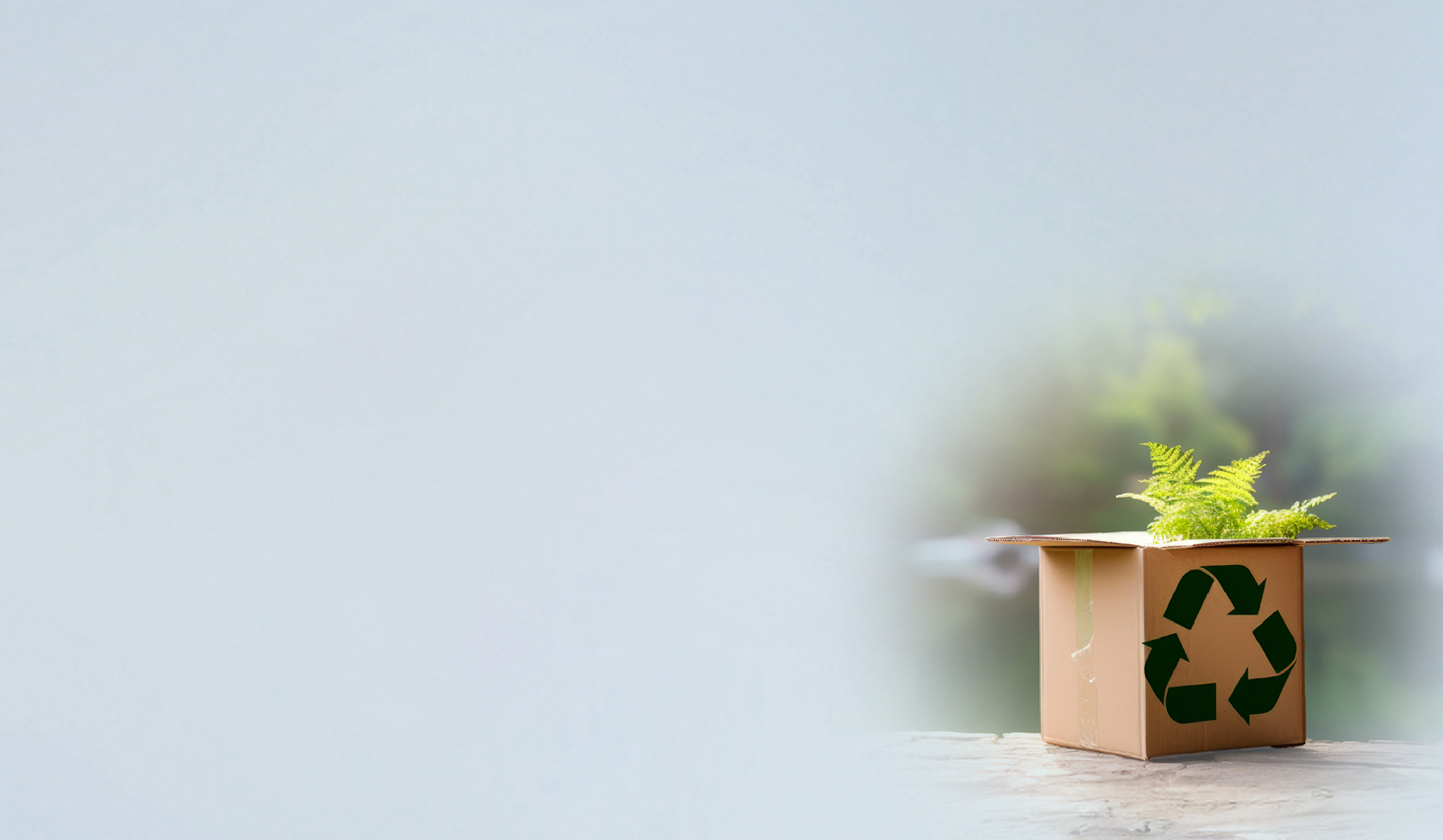 PARCEL - Netzwerk für funktionale Verpackungen